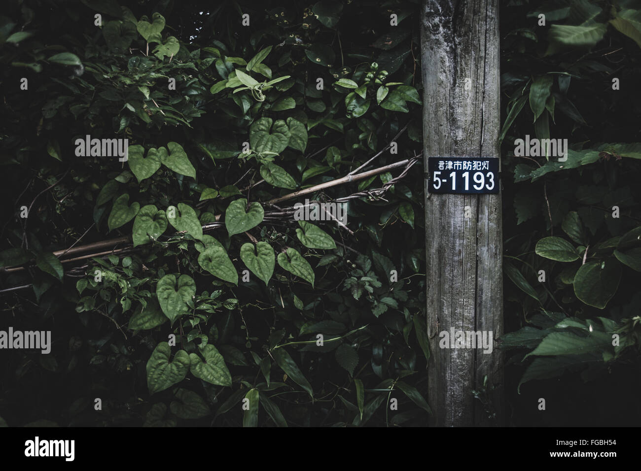 Green sign board hi-res stock photography and images - Alamy