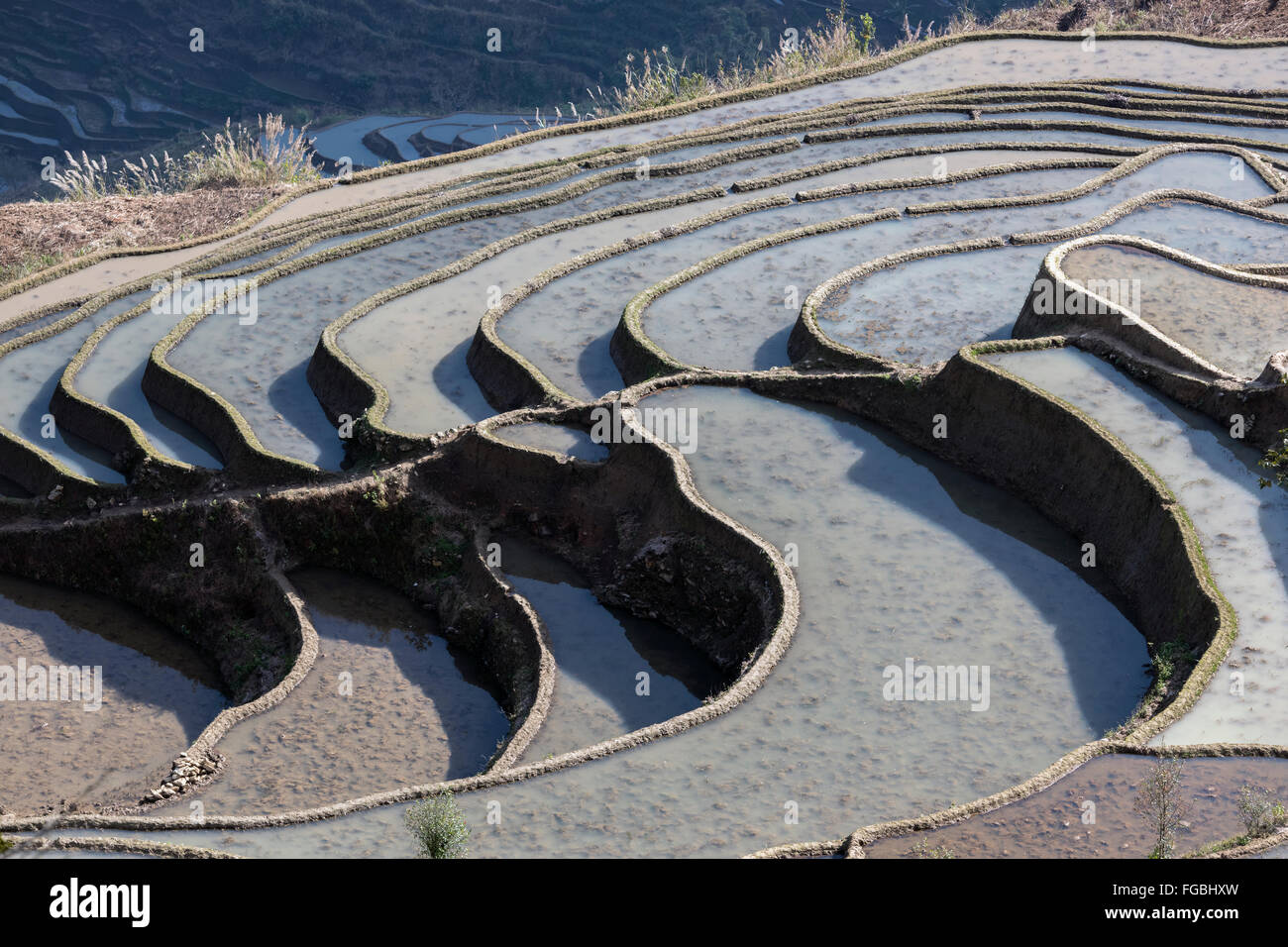 Laohuzui Rice Terraces, curves and channels, Honghe Hani region, Yunnan ...