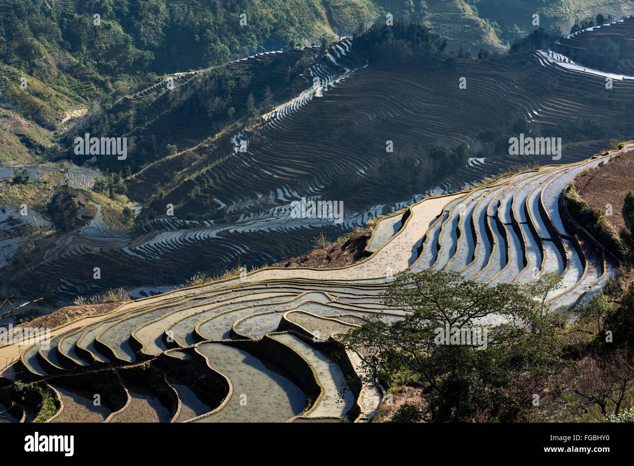 Honghe hani rice terraces hi-res stock photography and images - Alamy