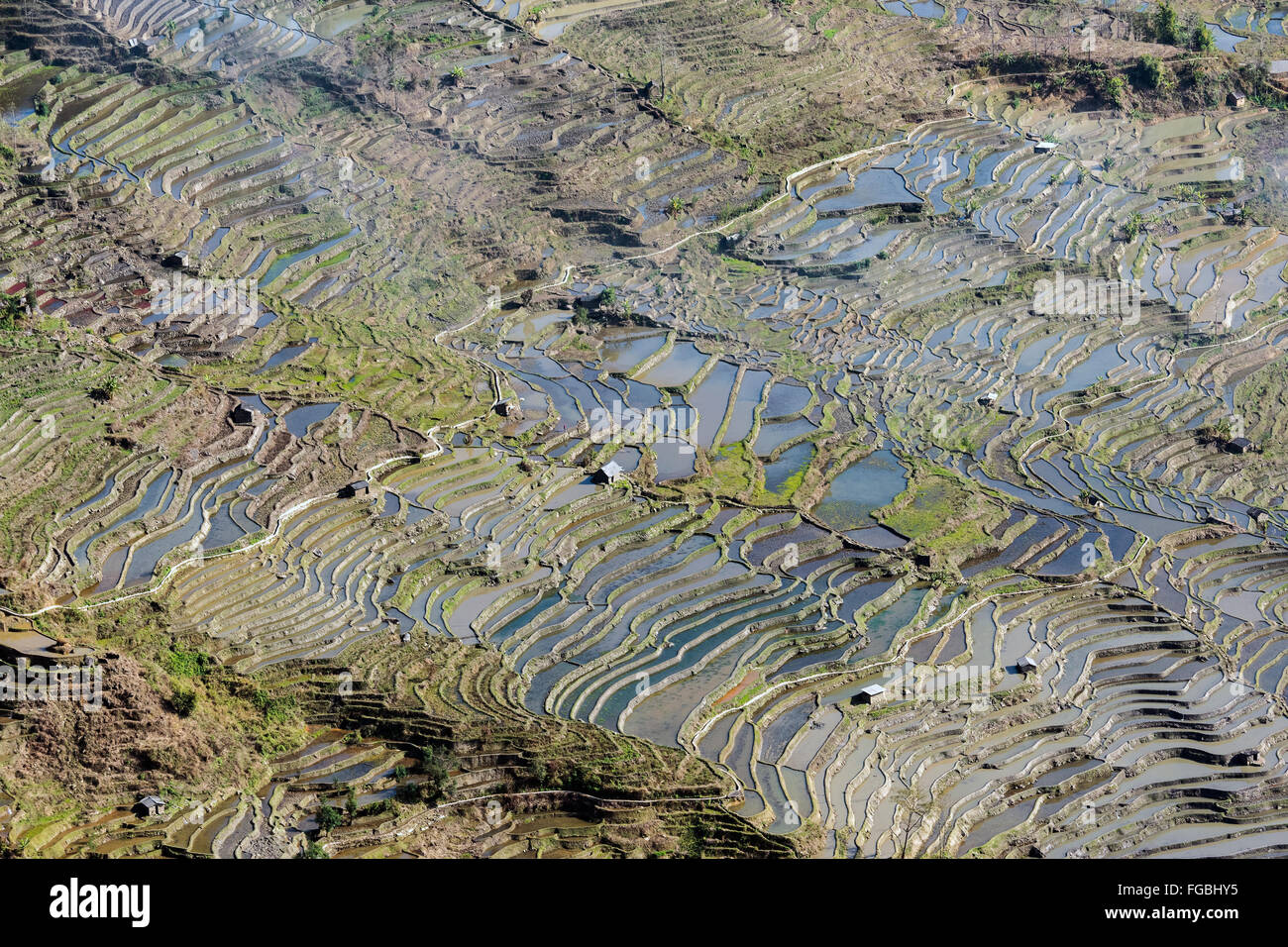 Laohuzui Rice Terraces, late day, Honghe Hani region, Yunnan Province ...