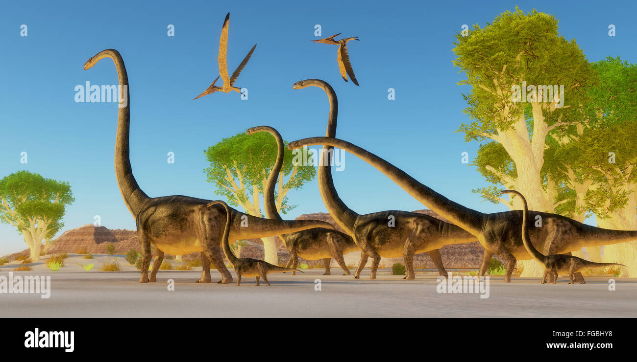 Two Pteranodon reptile birds fly over a herd of Omeisaurus dinosaurs ...