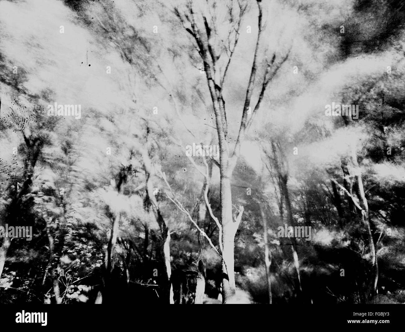 Exposure effect hi-res stock photography and images - Alamy