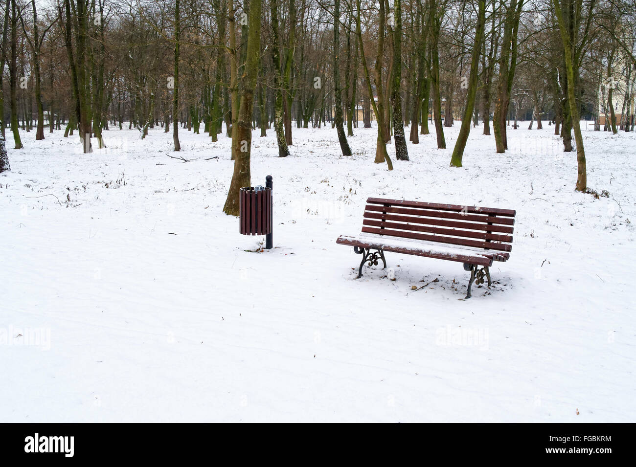 wooden snow covered bench in the city park Stock Photo - Alamy