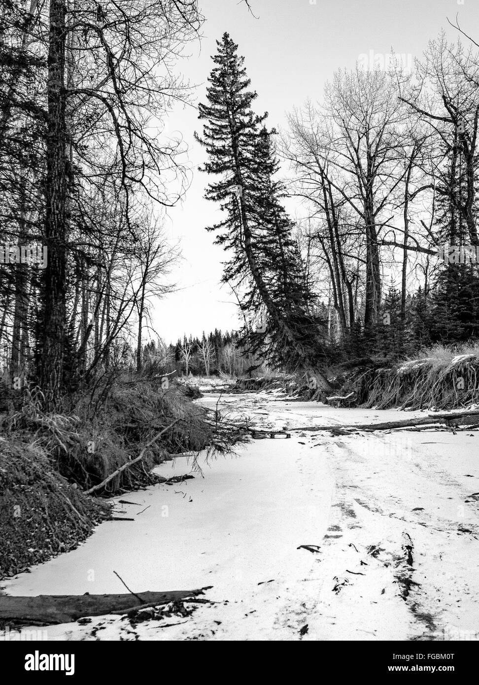 Landscape small river stream Black and White Stock Photos & Images - Alamy