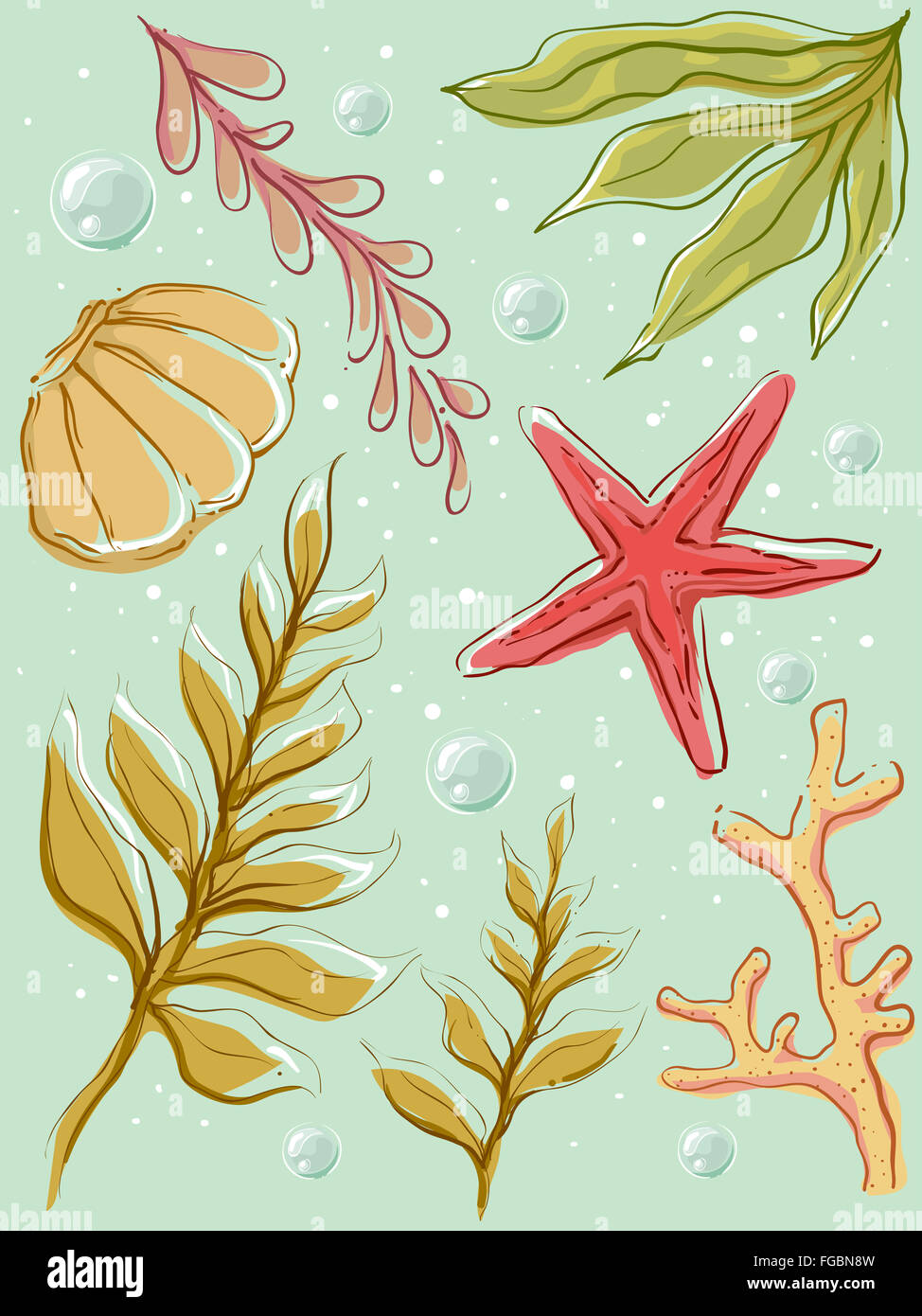 Colorful Illustration of Different Types of Seaweeds Stock Photo - Alamy