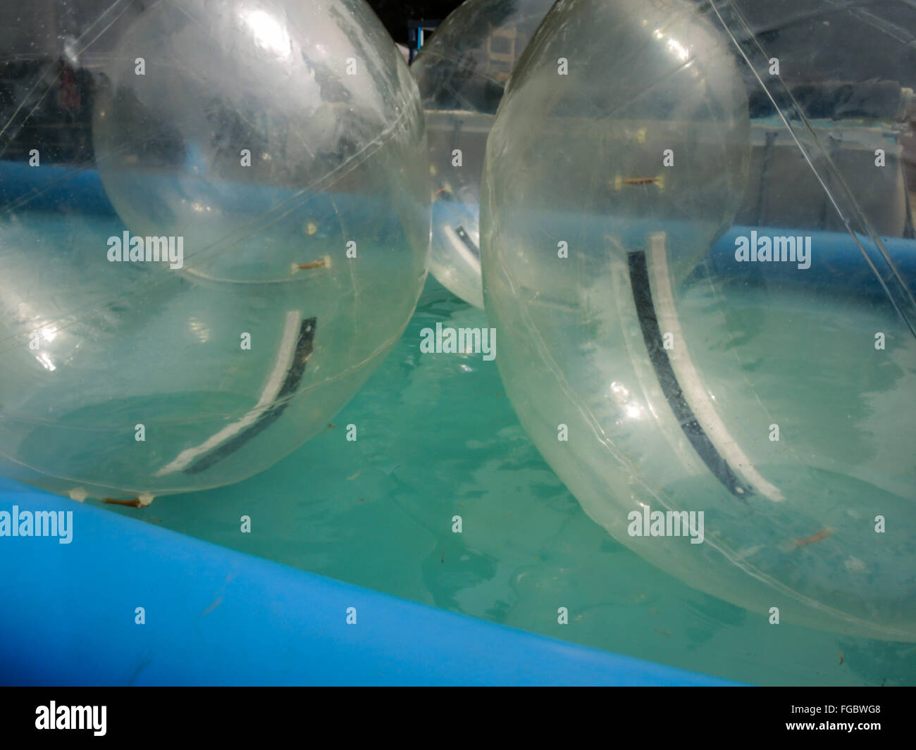 Inflatable Balls In Swimming Pool Stock Photo - Alamy