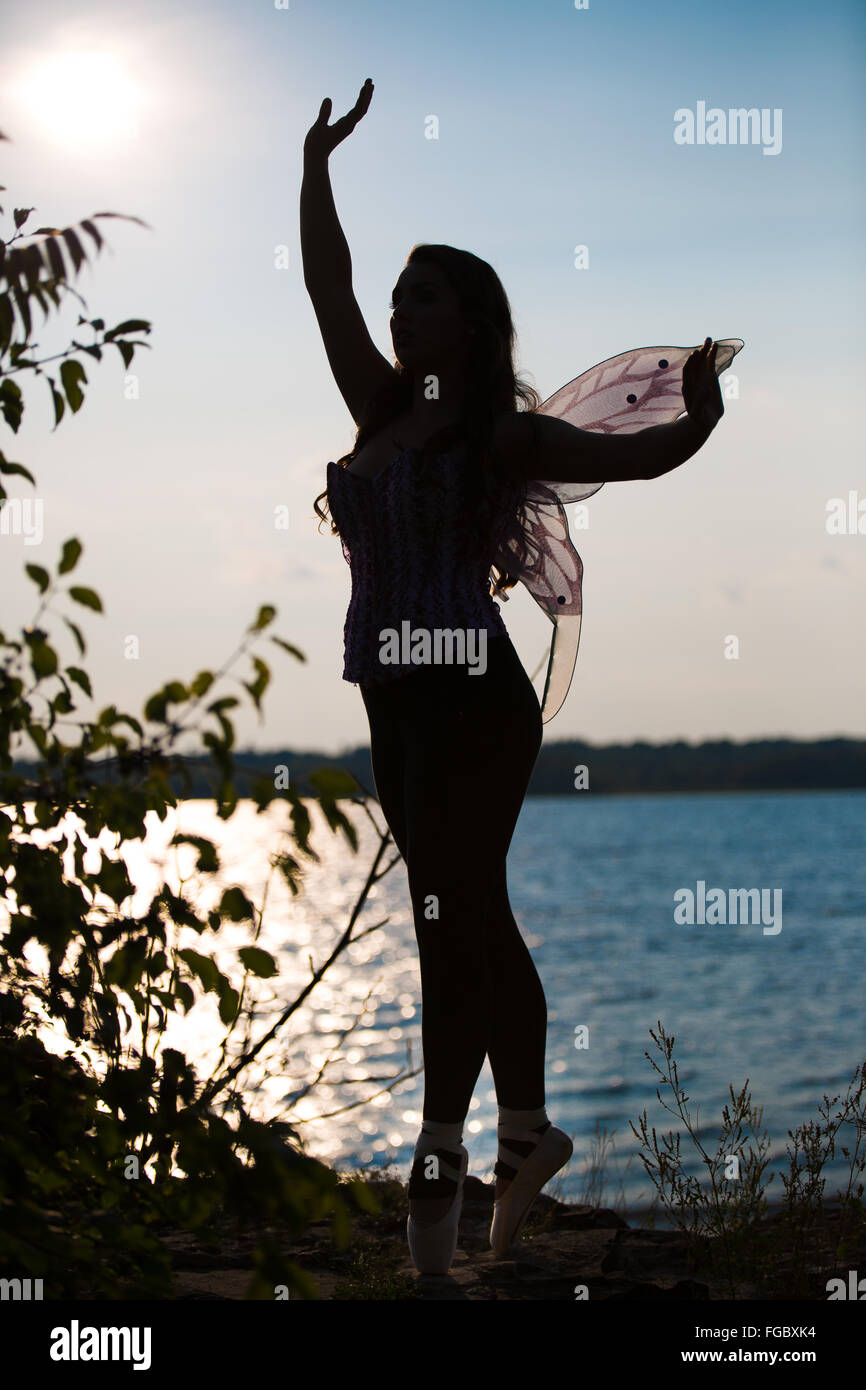 Wings Silhouette High Resolution Stock Photography and Images - Alamy