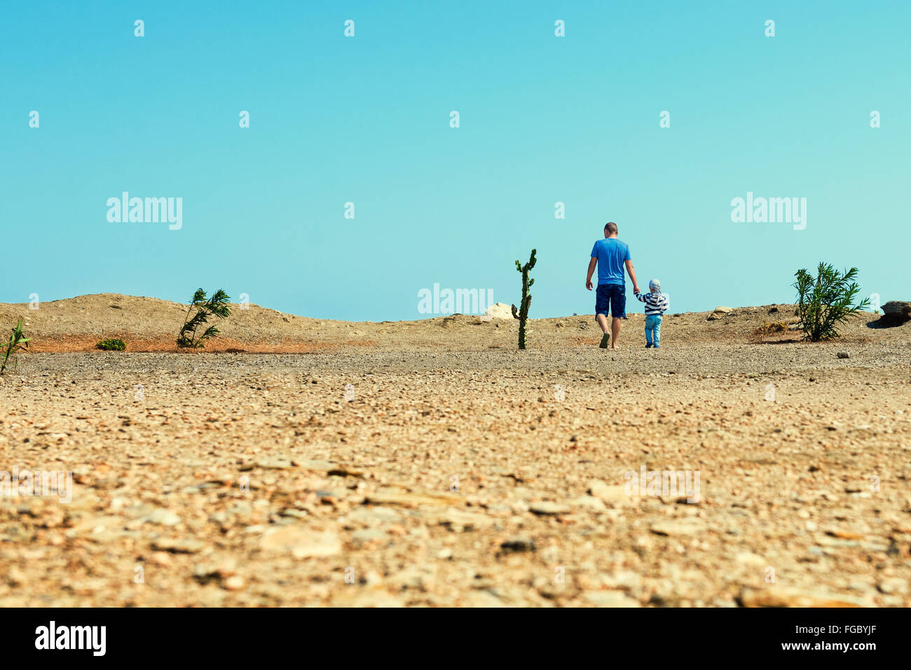 Walk in desert cactus hi-res stock photography and images - Alamy