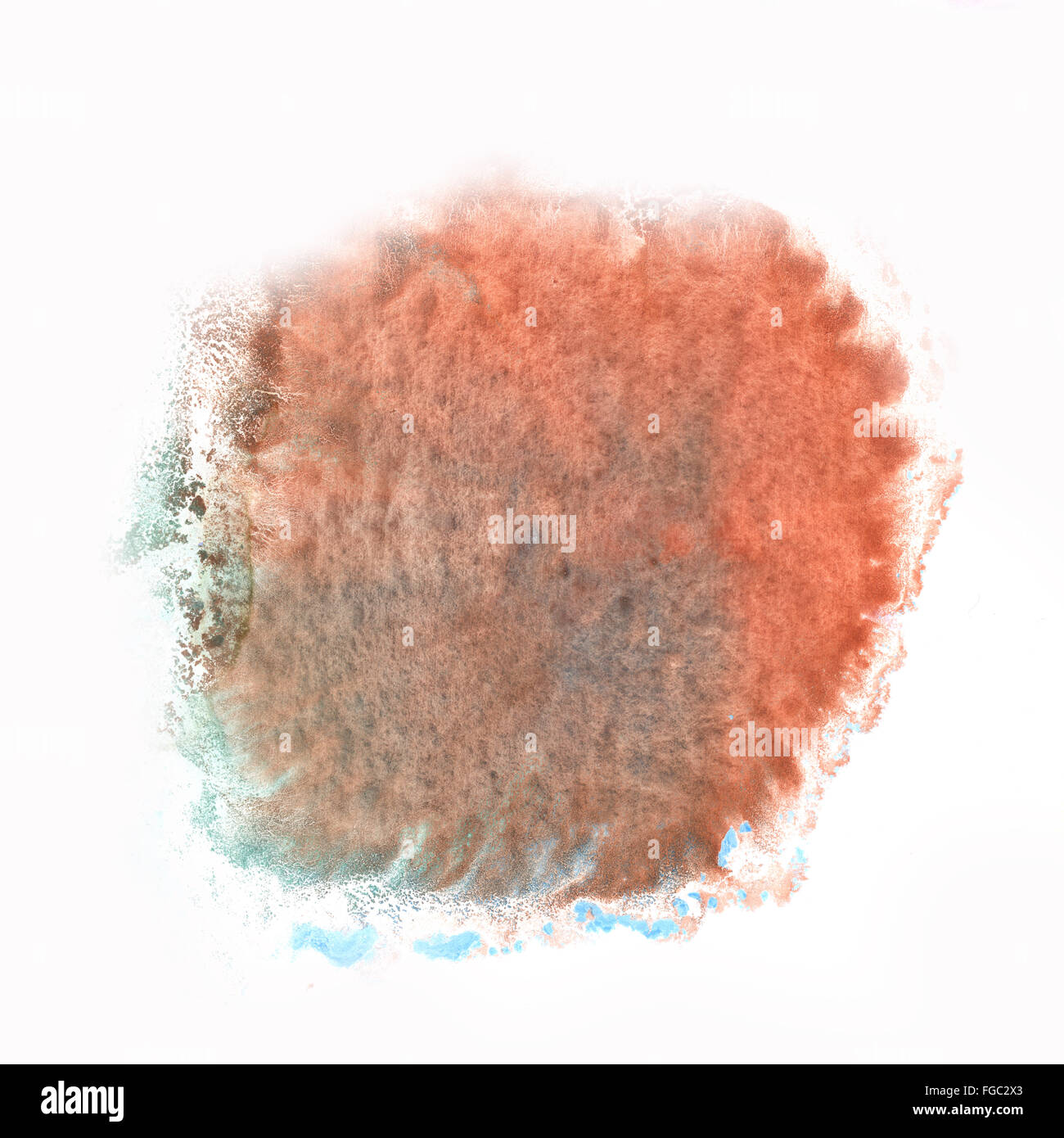 ink brown splash abstract watercolor blot watercolour isolated white ...