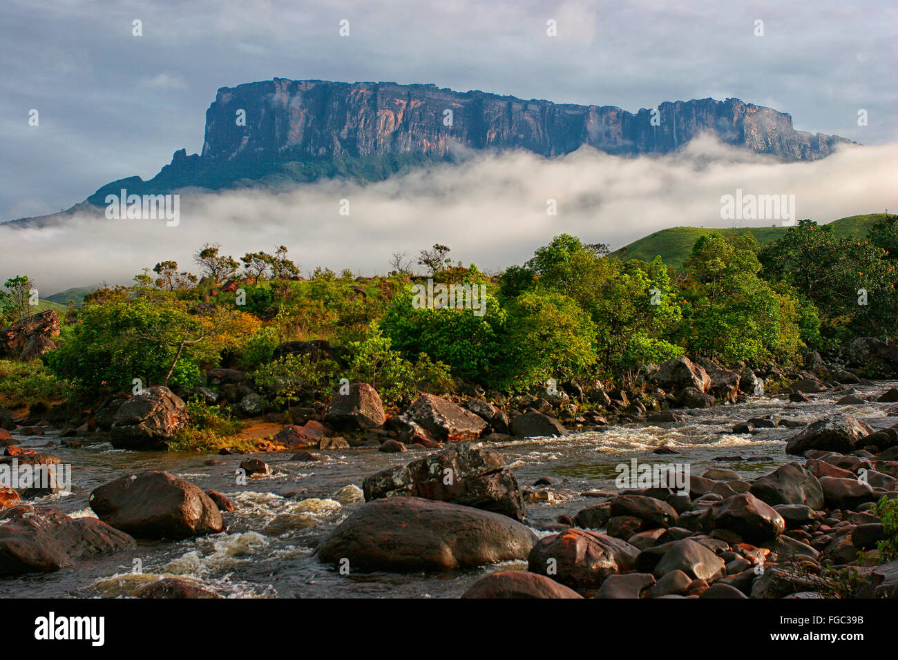 Mount Roraima Wallpaper