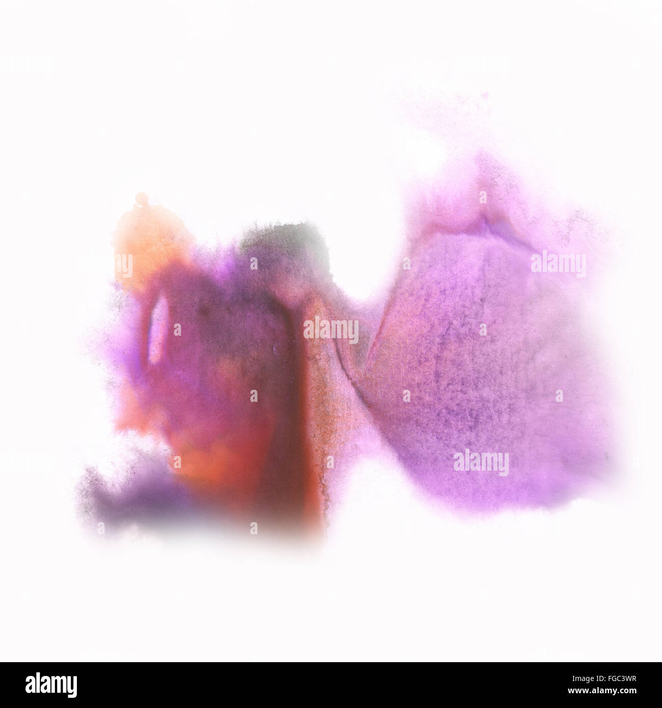 splash abstract watercolor ink blot red purple watercolour isolated ...