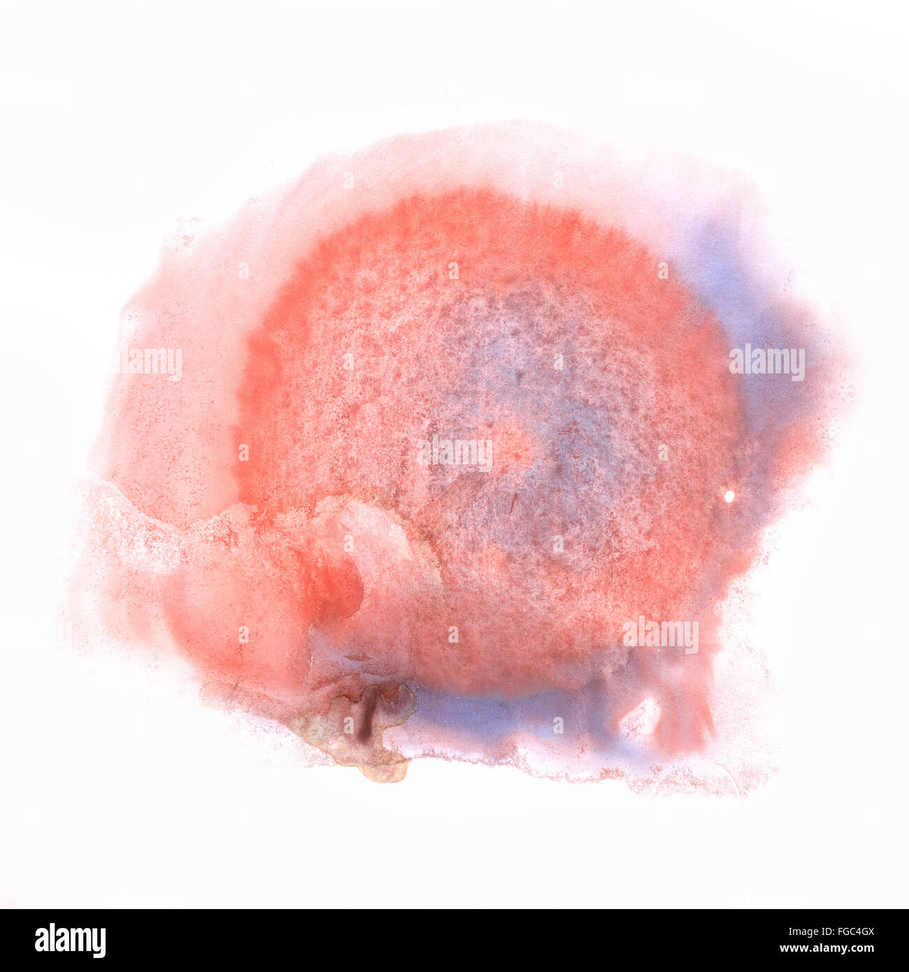 splash abstract watercolor ink blot Red Blue watercolour isolated white ...