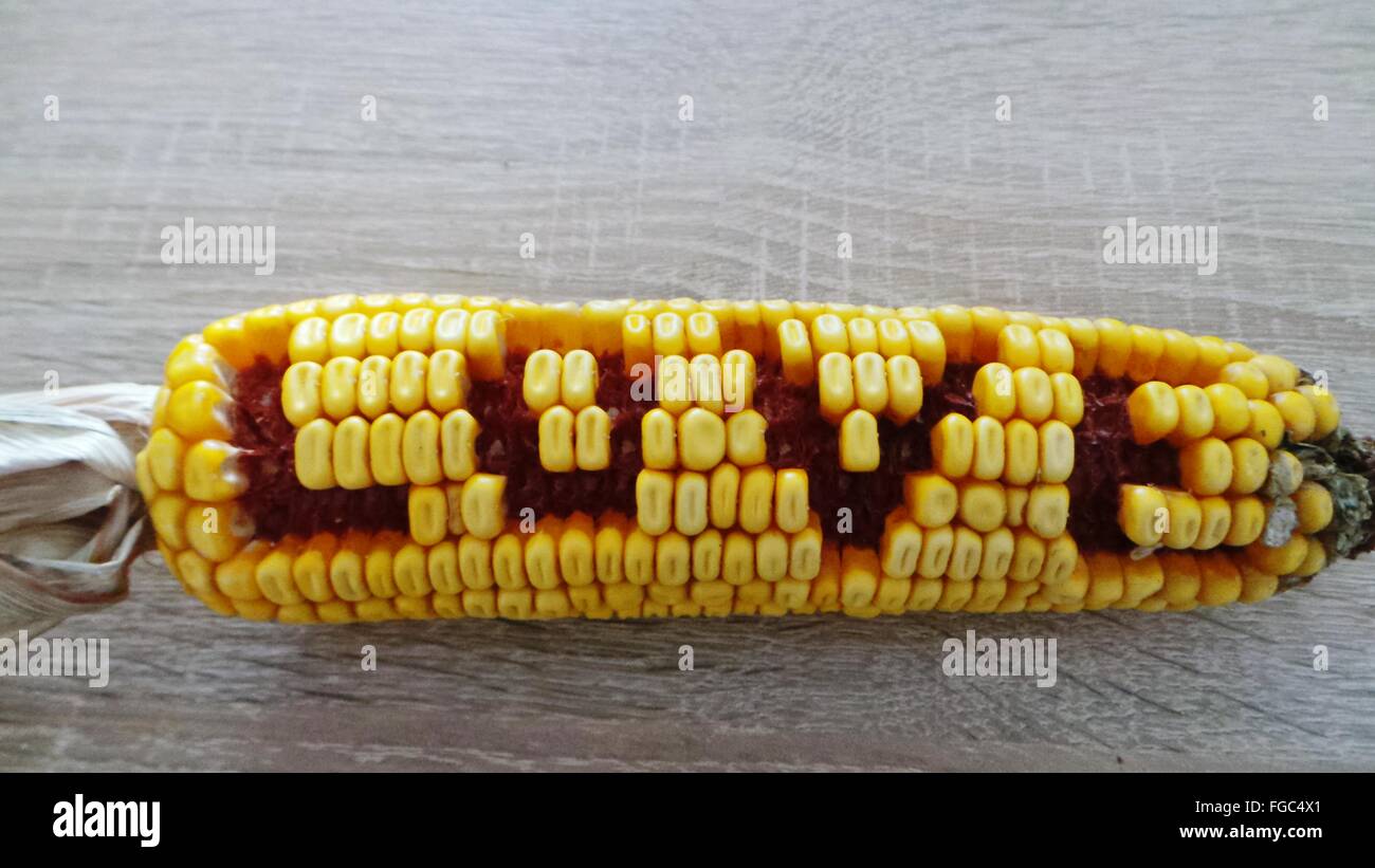 Close-Up Of Text On Corn Stock Photo - Alamy