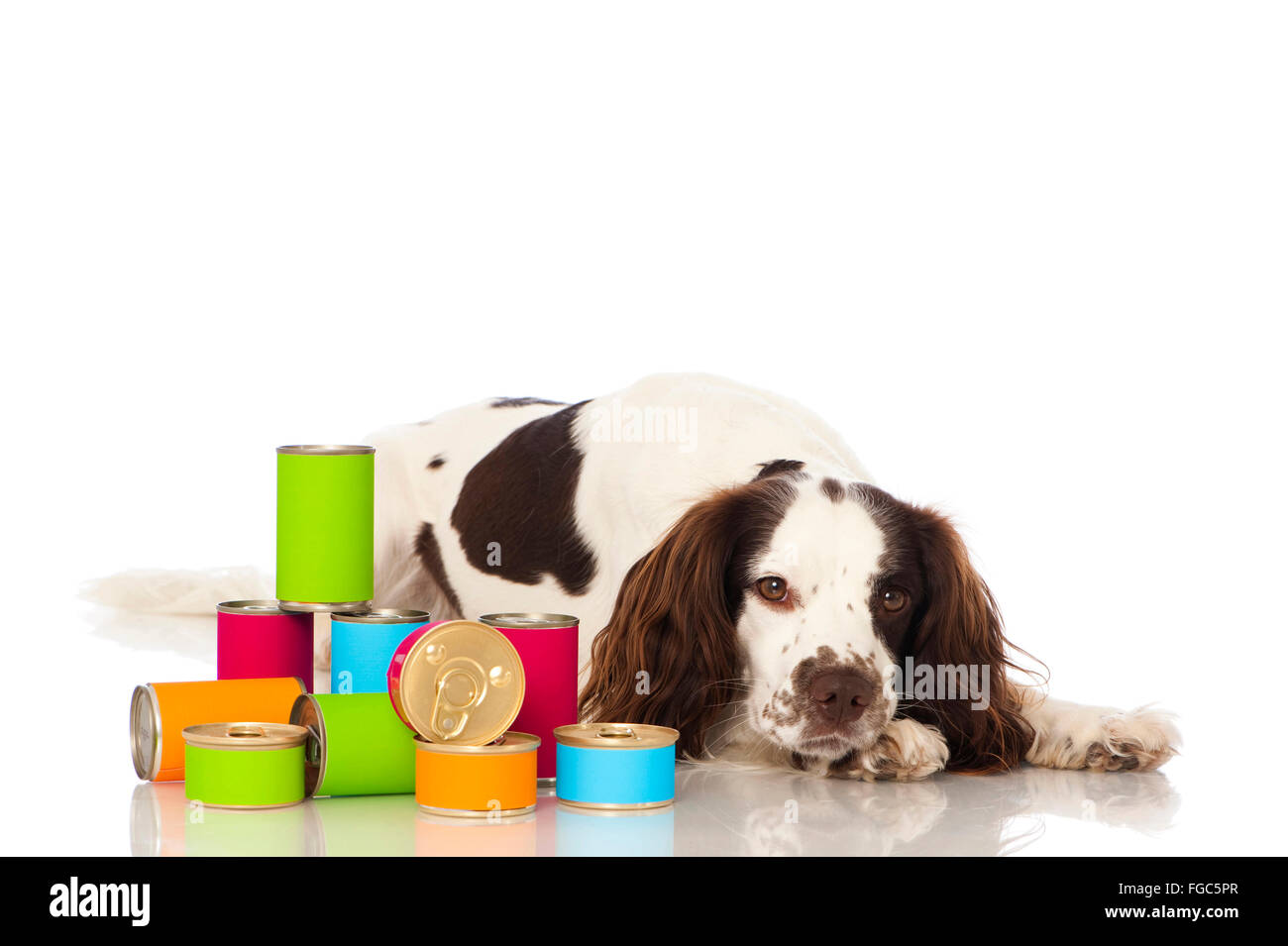 Dog food cans hi-res stock photography and images - Alamy
