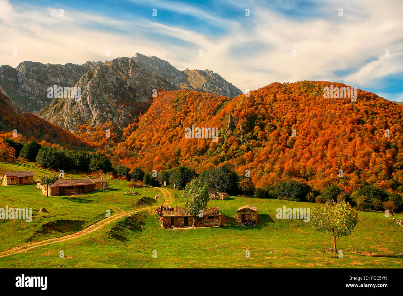 The Natural Park of Redes. Asturias Stock Photo - Alamy