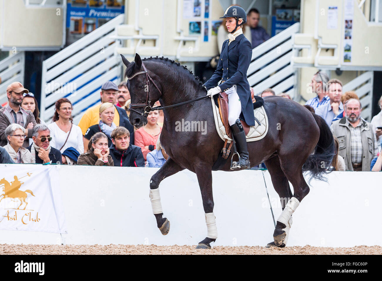 Dressage Horse Silhouette Piaffe