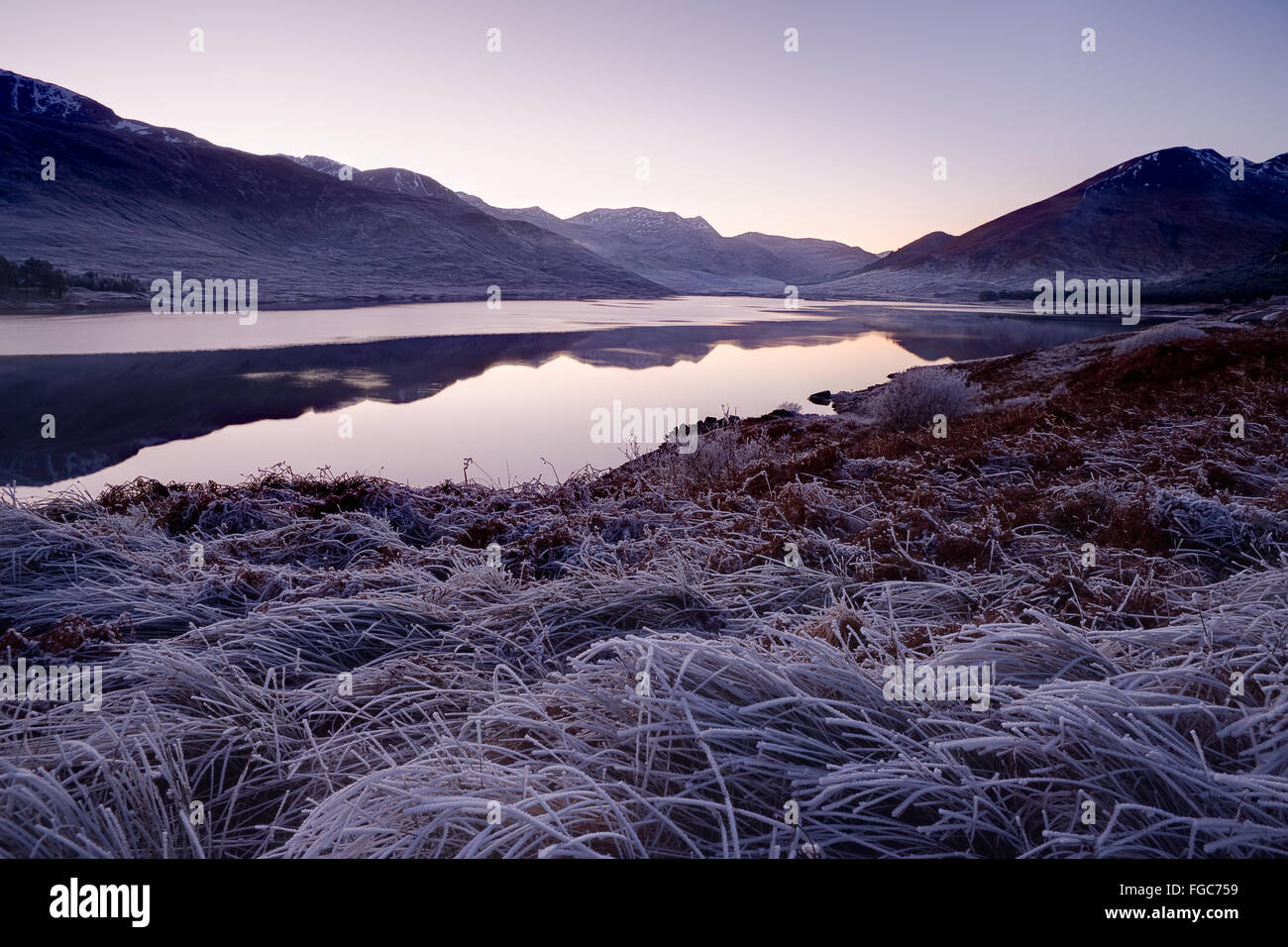 Loyne High Resolution Stock Photography and Images - Alamy