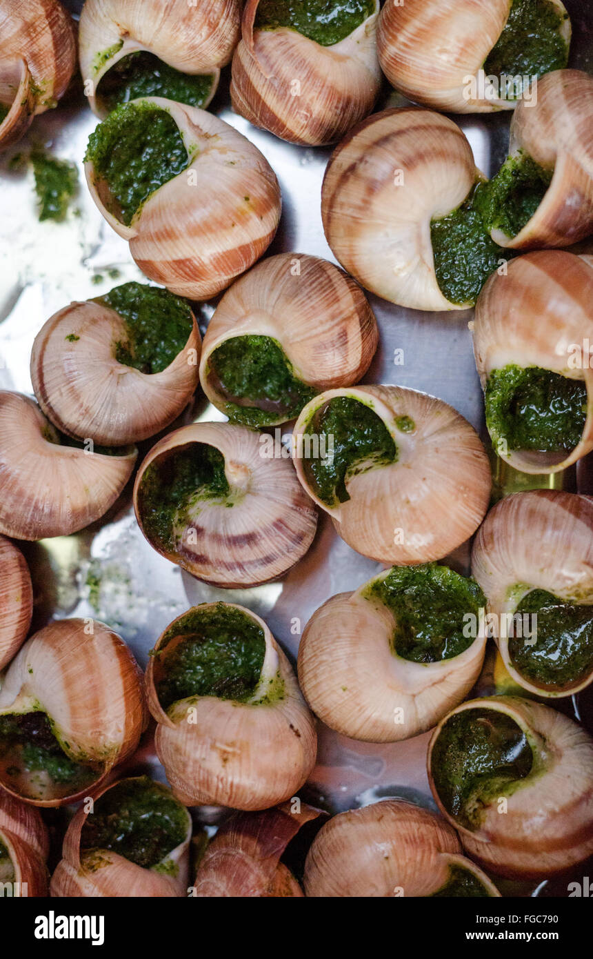 Escargot dish hi-res stock photography and images - Alamy