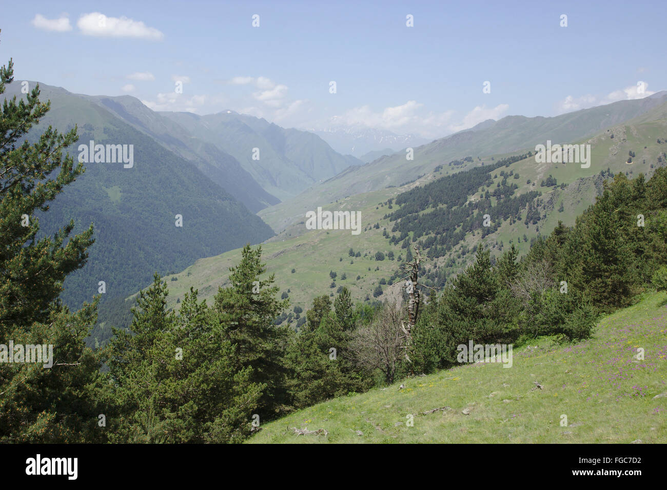 Valley of Pirikiti Alazani River, viewpoint between Chigo and Dartlo ...