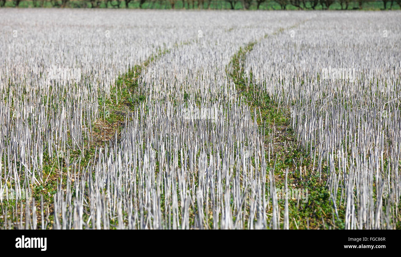 Through crop stubble power hi-res stock photography and images - Alamy