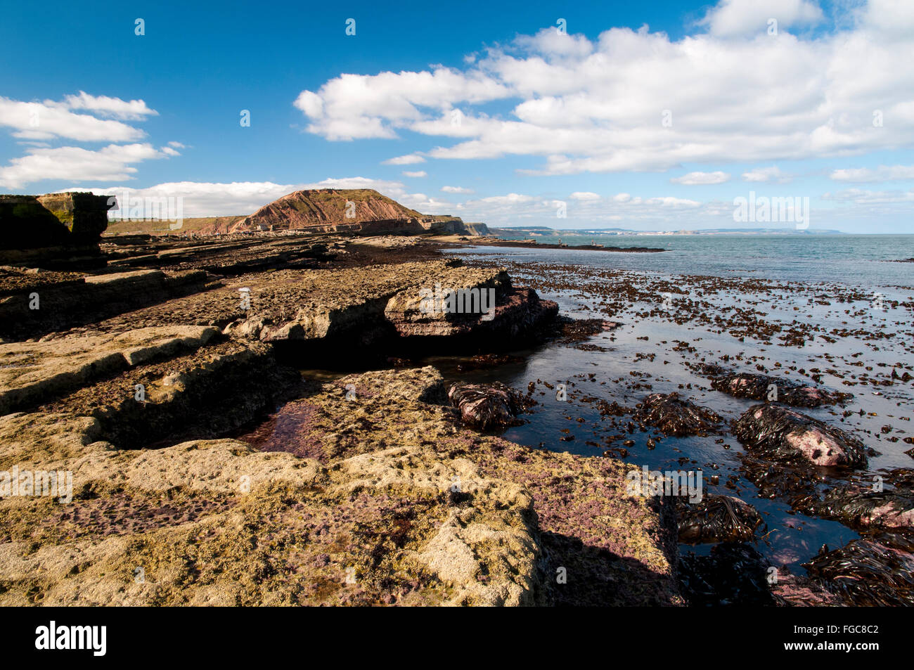 A view of Filey Brigg at low tide, from the end of the Brigg looking ...