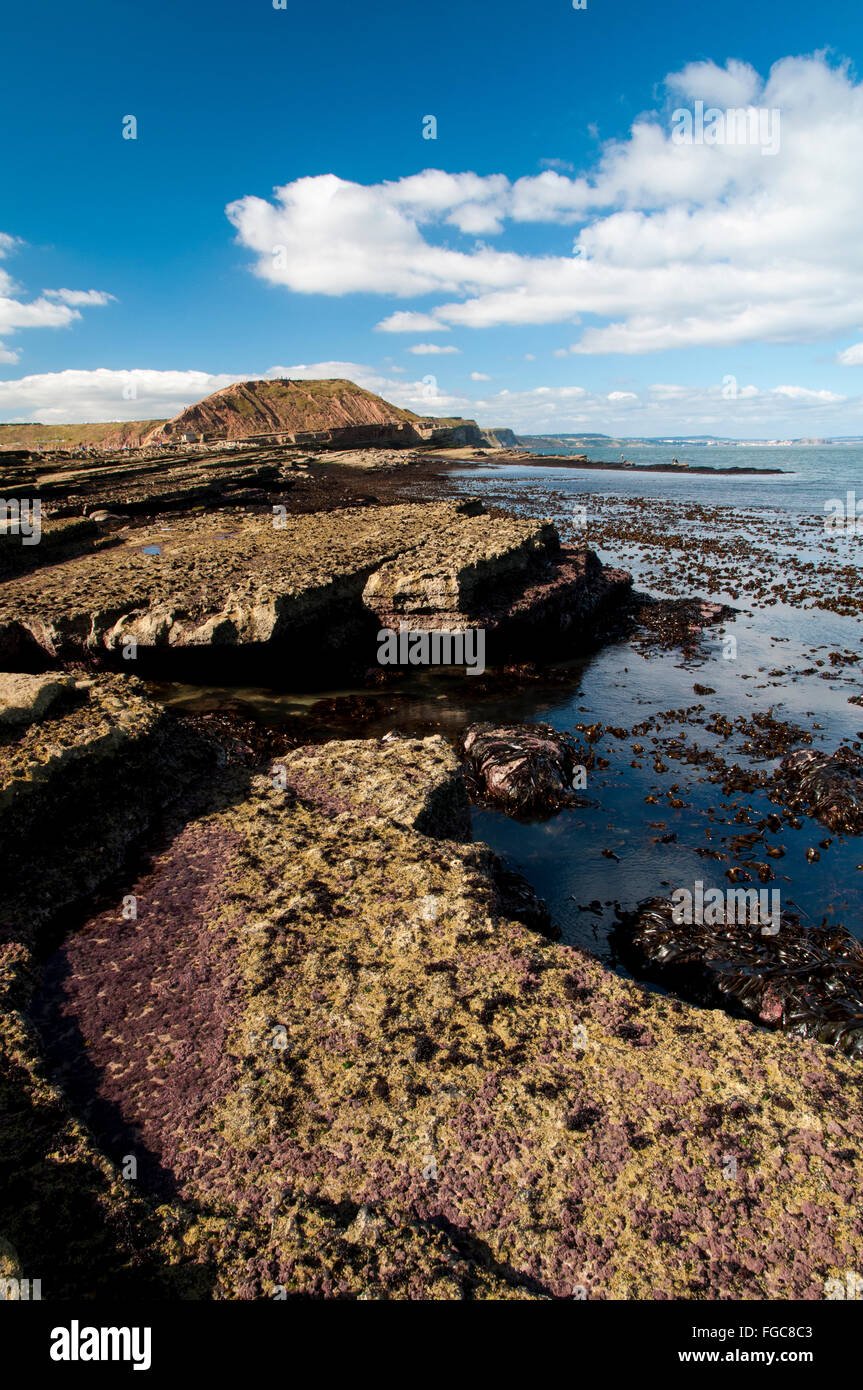 Filey hi-res stock photography and images - Alamy