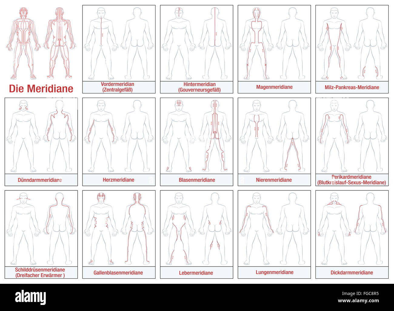 Body meridians chart High Resolution Stock Photography and Images - Alamy