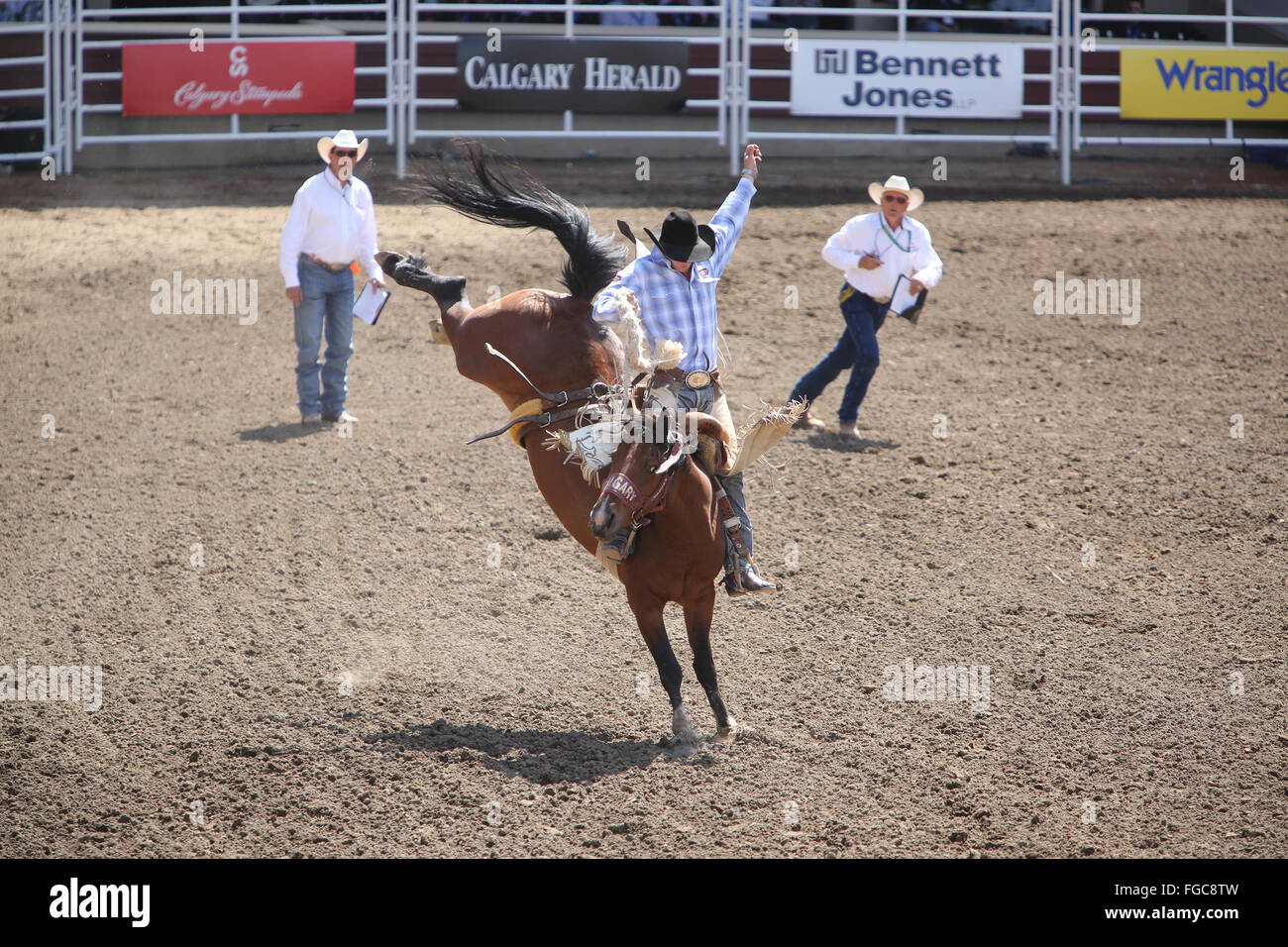 Calgary Stampede Bucking Bronc and Cowboy competition Rodeo Stock Photo ...