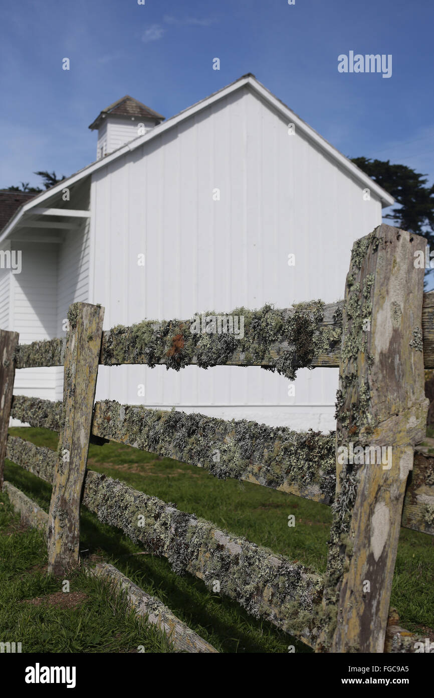 A fence covered with moss and lichen at Pierce Point Ranch in Point ...