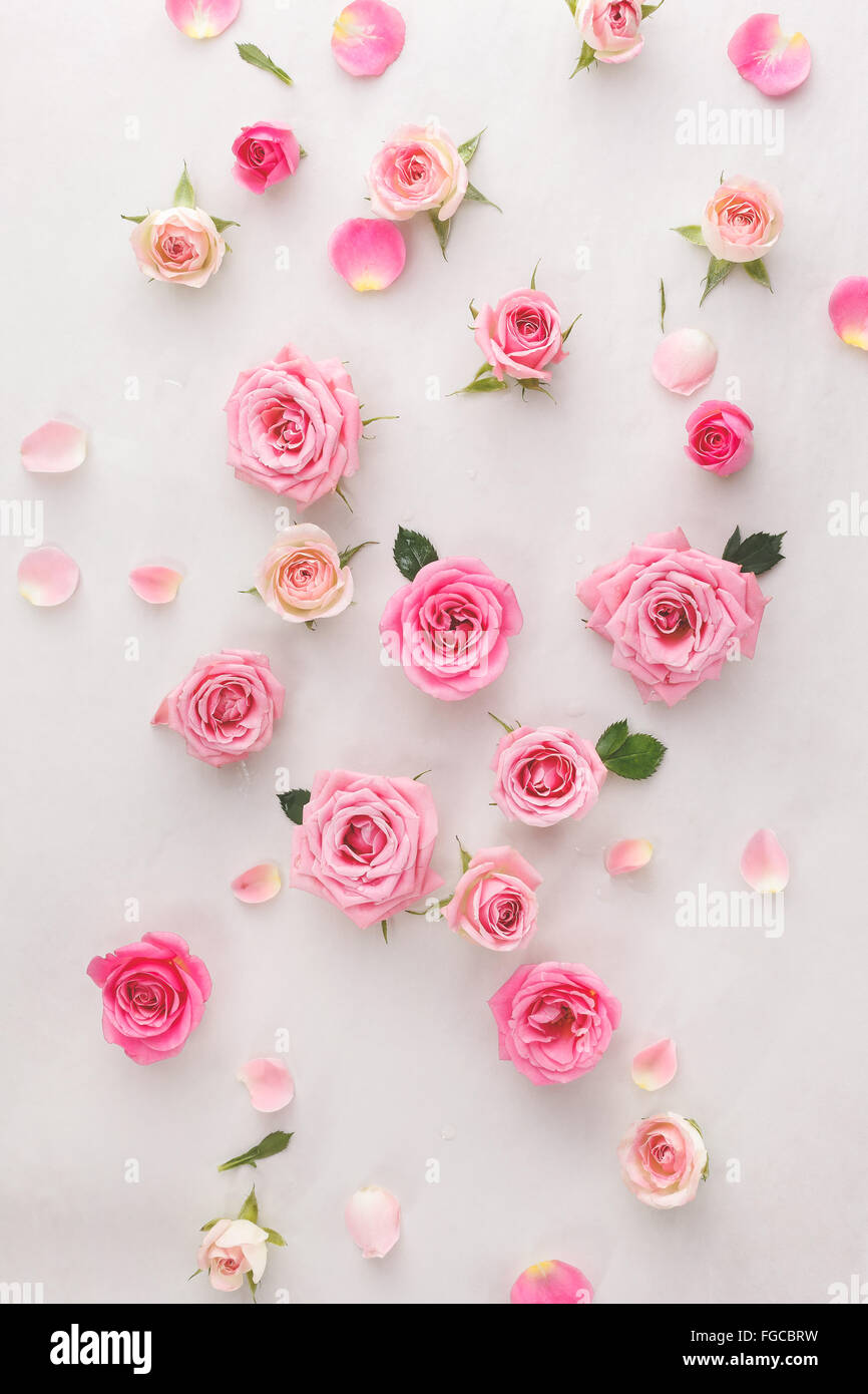 Assorted roses heads. Various soft roses and leaves scattered on a ...