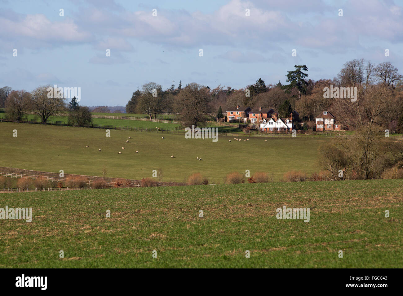 English countryside view with trees and blue sky in Hungerford ...