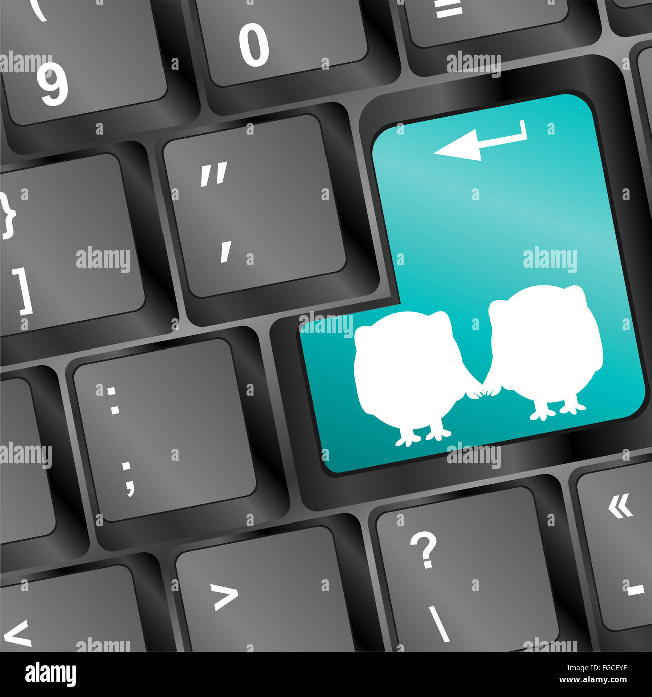 owl sign on computer keyboard key button Stock Photo - Alamy