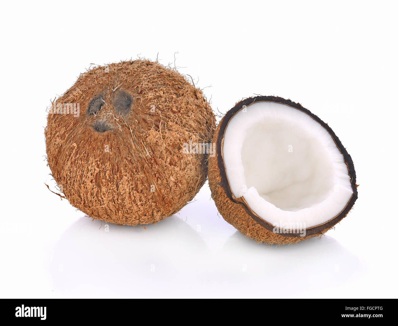 Cocoa nut palm hi-res stock photography and images - Alamy