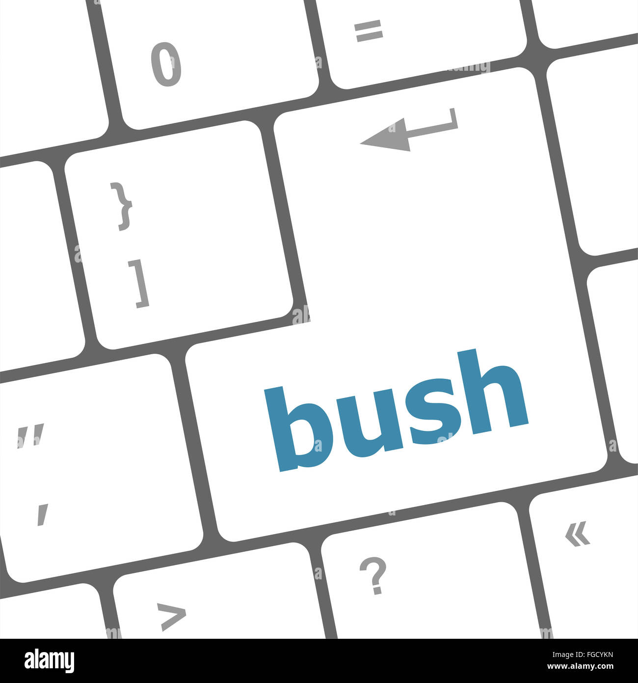bush word icon on laptop keyboard keys Stock Photo - Alamy