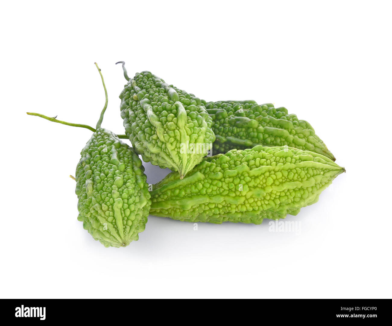 White bitter gourd hi-res stock photography and images - Alamy