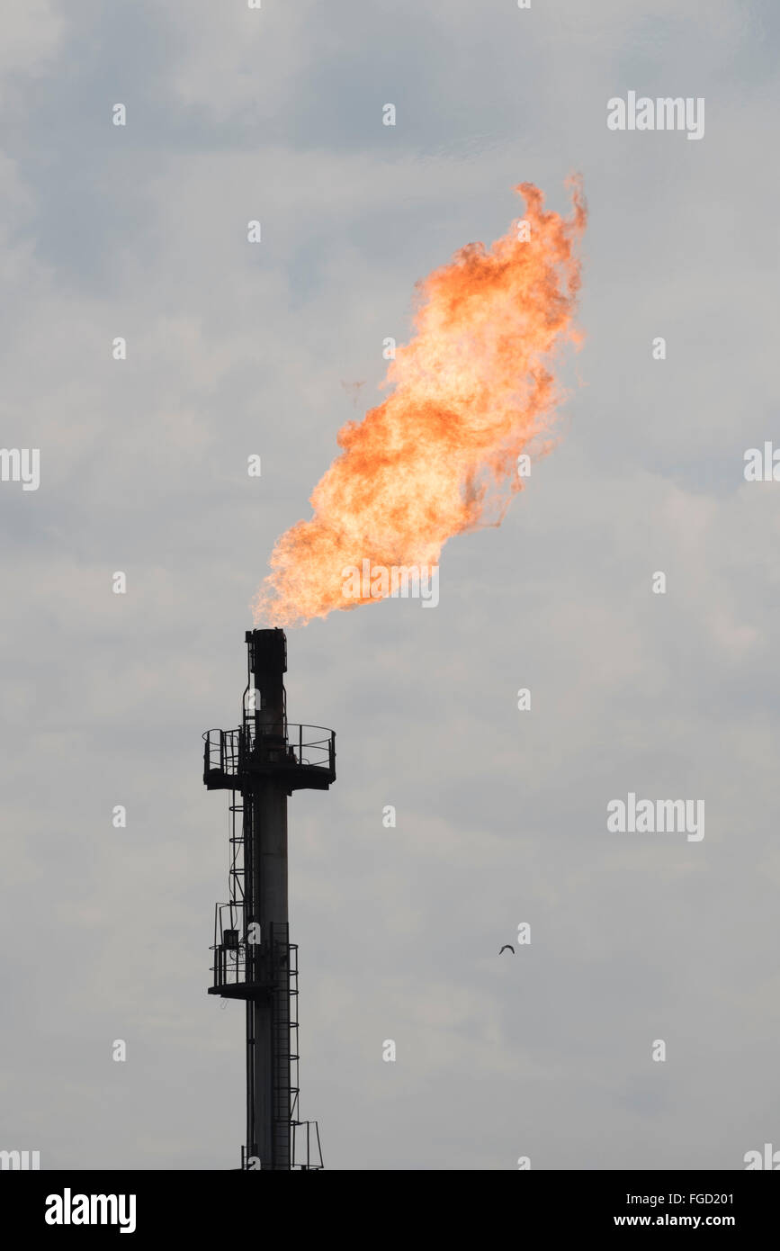 Gas burnoff at Redcar steel works, North Yorkshire Stock Photo - Alamy