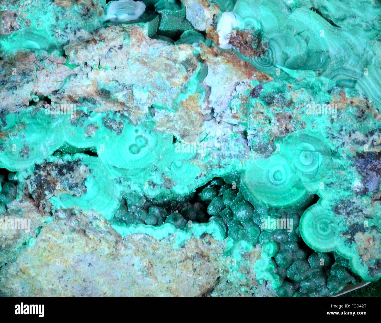 Abstract natural designs hi-res stock photography and images - Alamy