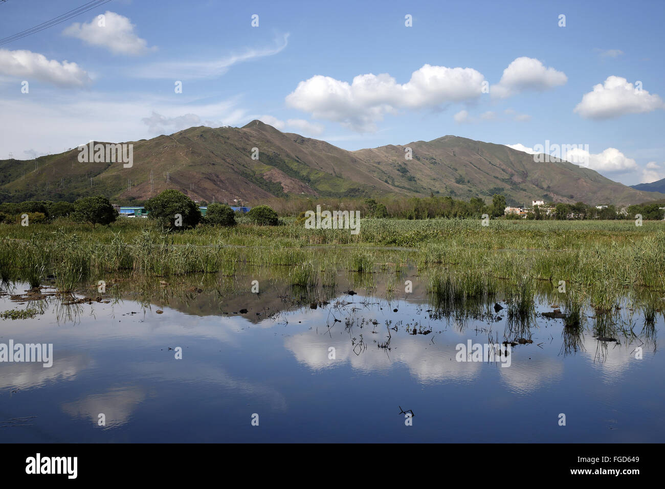 View of marshland habitat, Sha Po Marsh, New Territories, Hong Kong ...