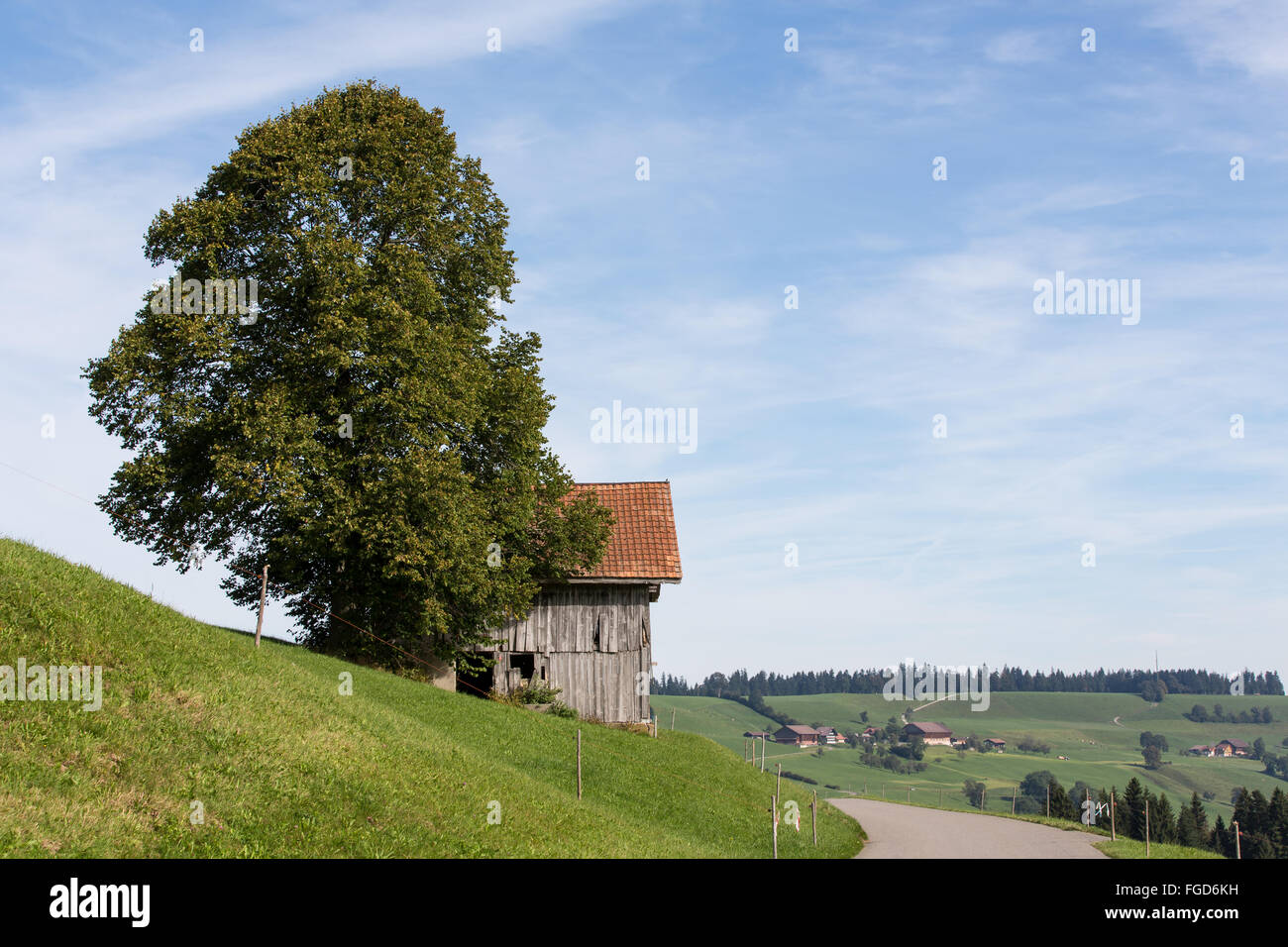 Barn With Tree Stock Photo - Alamy