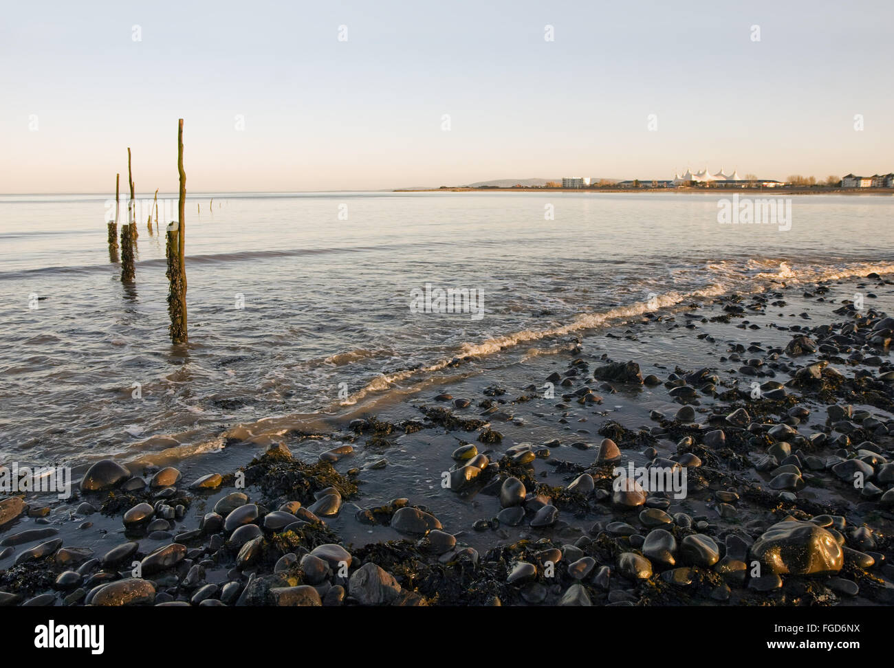 View of pebble beach and old stakes from trap fishing nets at sunset ...