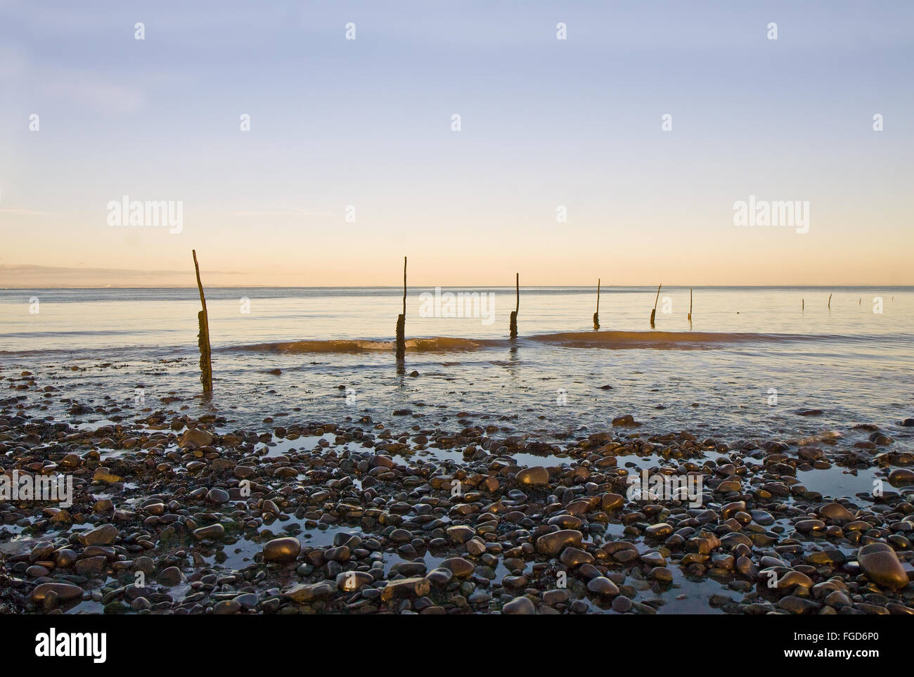 View of pebble beach and old stakes from trap fishing nets at sunset ...