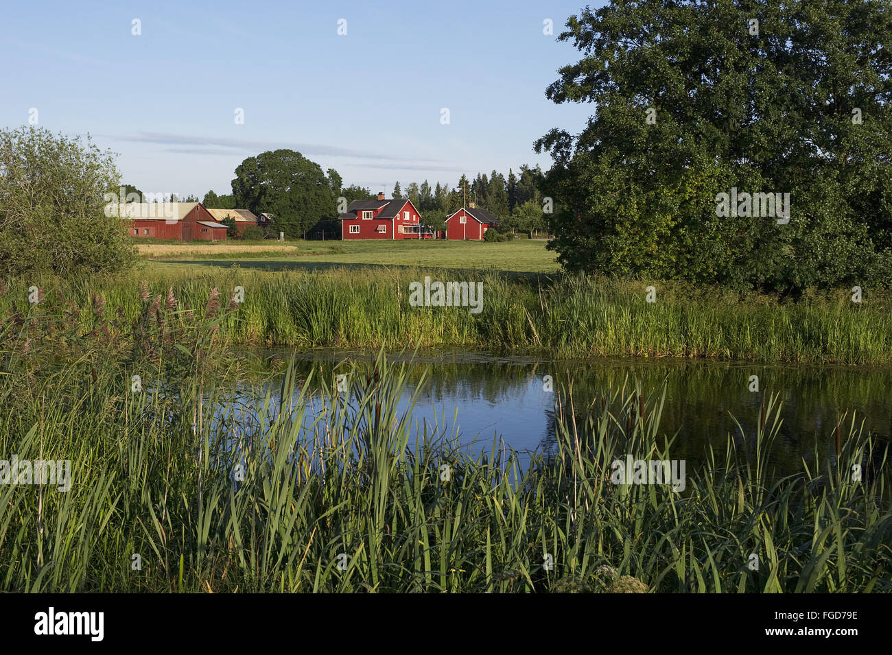 View of river beside farmland and farm buildings, Tamnar River, Ullfors ...