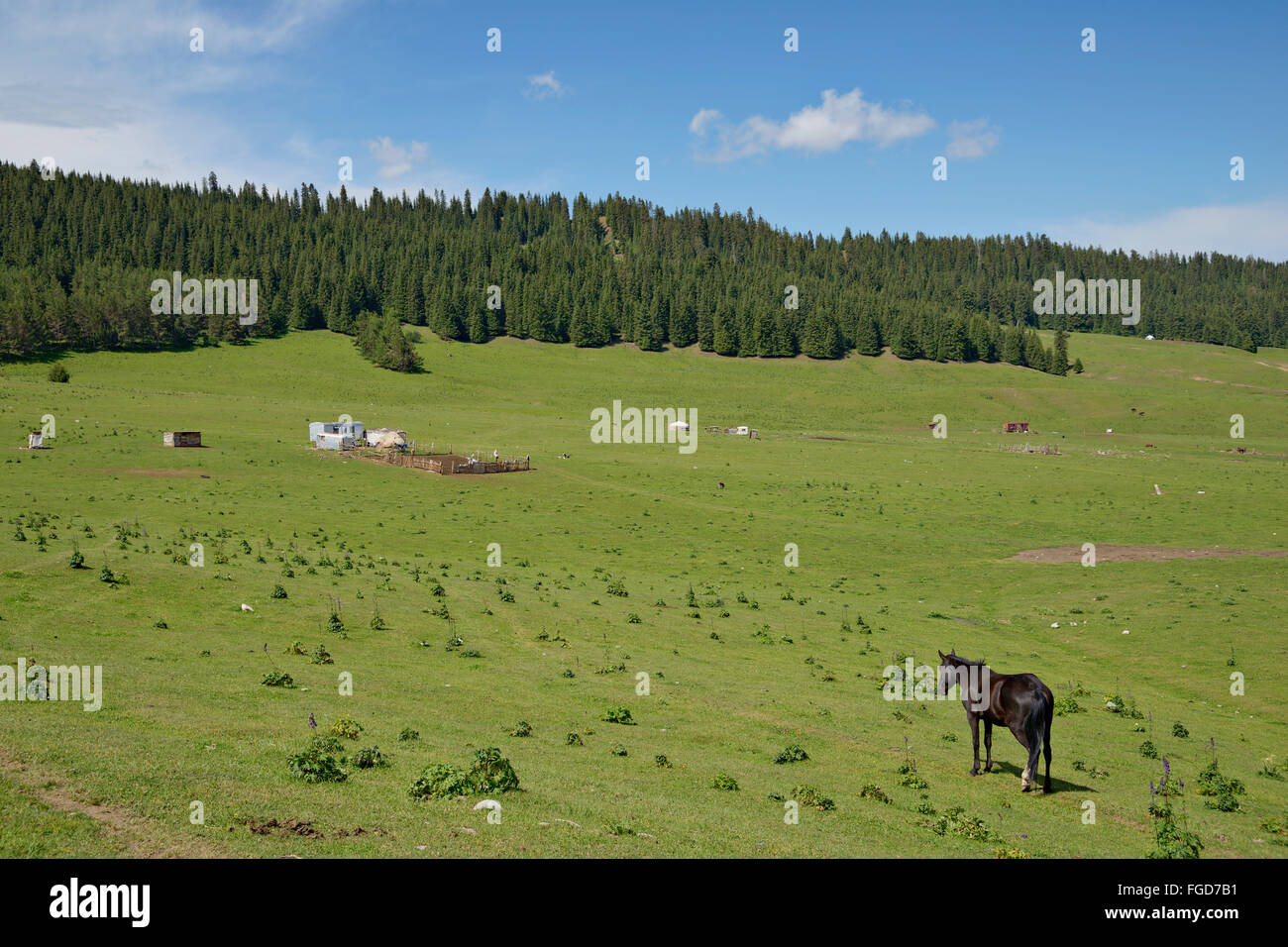 Tian shan yurt hi-res stock photography and images - Alamy