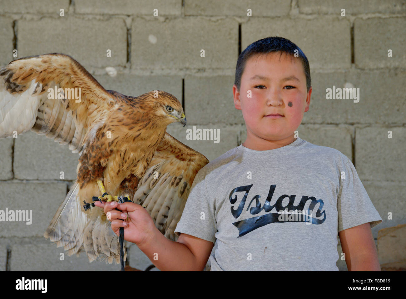 Boy with hawk hi-res stock photography and images - Alamy