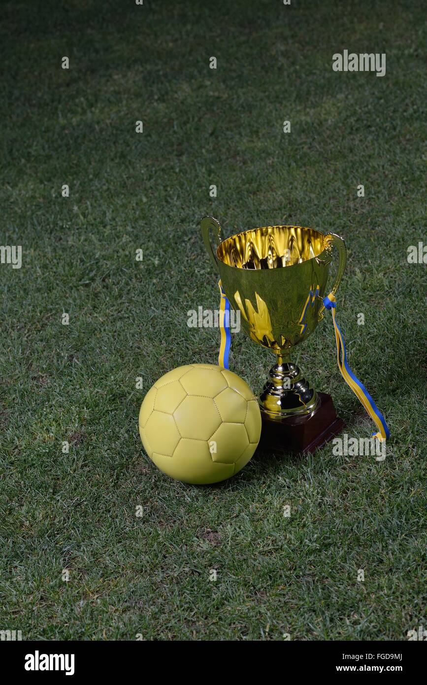 Euro cup trophy hi-res stock photography and images - Alamy
