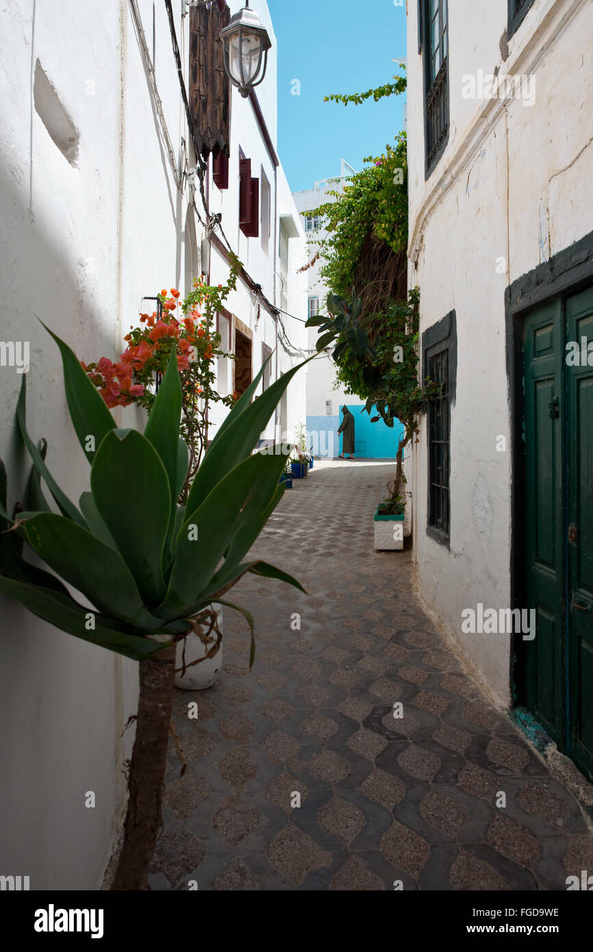 Painted walls in Asilah medina Morocco Stock Photo - Alamy