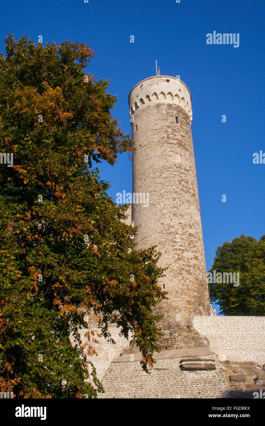 Pikk Hermann (Tall Hermann) tower of Toompea Castle, Tallinn, Estonia ...