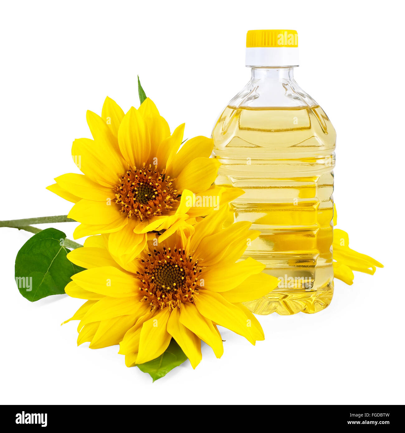 Vegetable oil from sunflower Stock Photo - Alamy