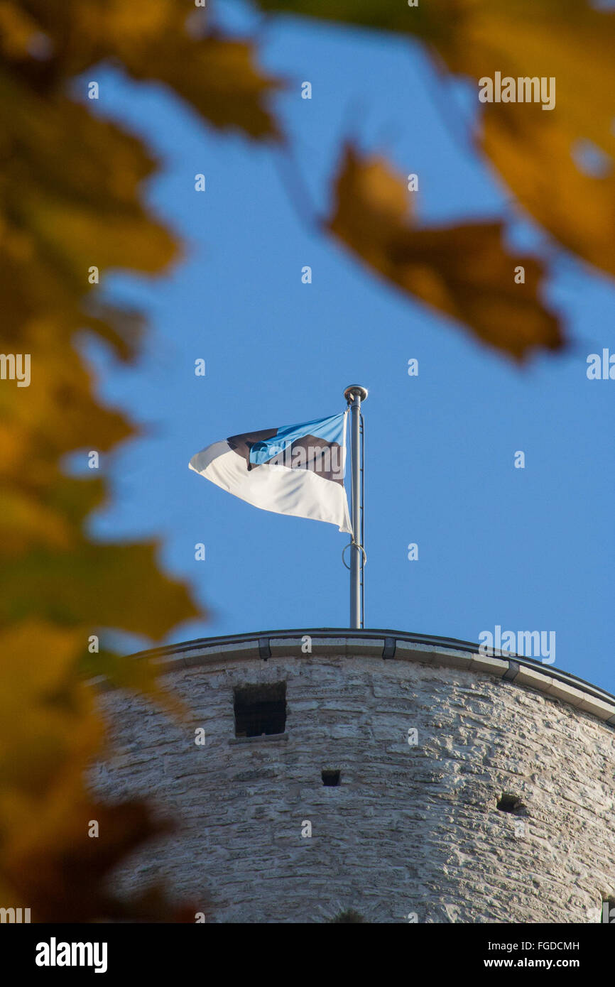Estonian national flag on top of Pikk Hermann (Tall Hermann) tower of ...