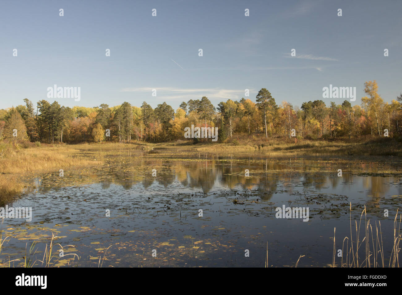 Lake itasca state park hi-res stock photography and images - Alamy